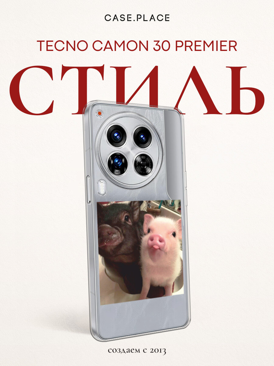 Чехол на Tecno Camon 30 Premier / Текно Камон 30 Премьер с принтом Два поросенка, прозрачный