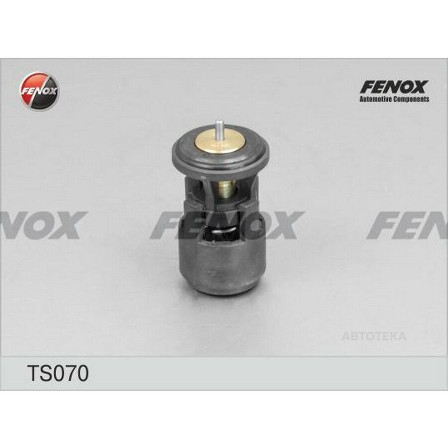 Термостат VW GOLF III IV 1.4 1.6 91-05 87 °с FENOX TS070