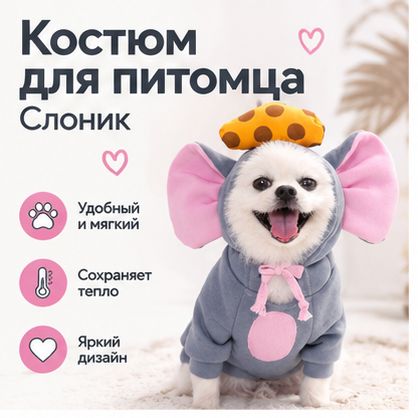 Одежда для собак и кошек, худи-трансформация мышь с сыром, коричневый