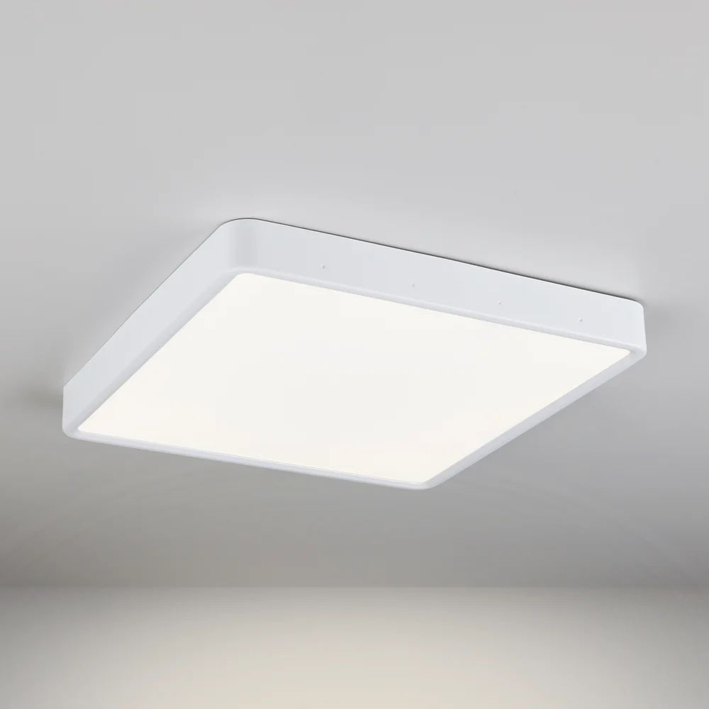 Elektrostandard DLS034 24W 4200K/ Светильник светодиодный стационарный a043018