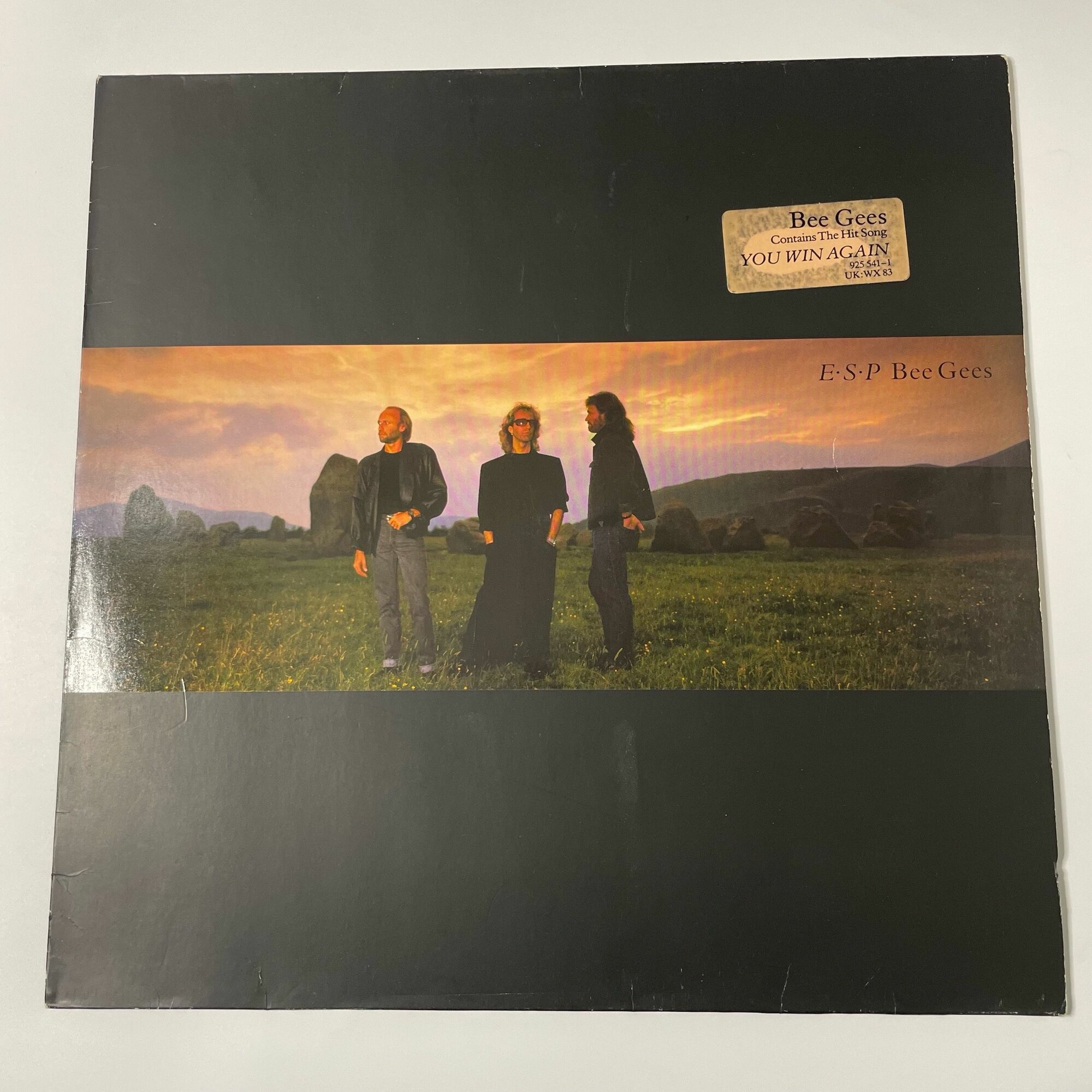 Винтажная виниловая пластинка LP Bee Gees E S P (Германия 1987)