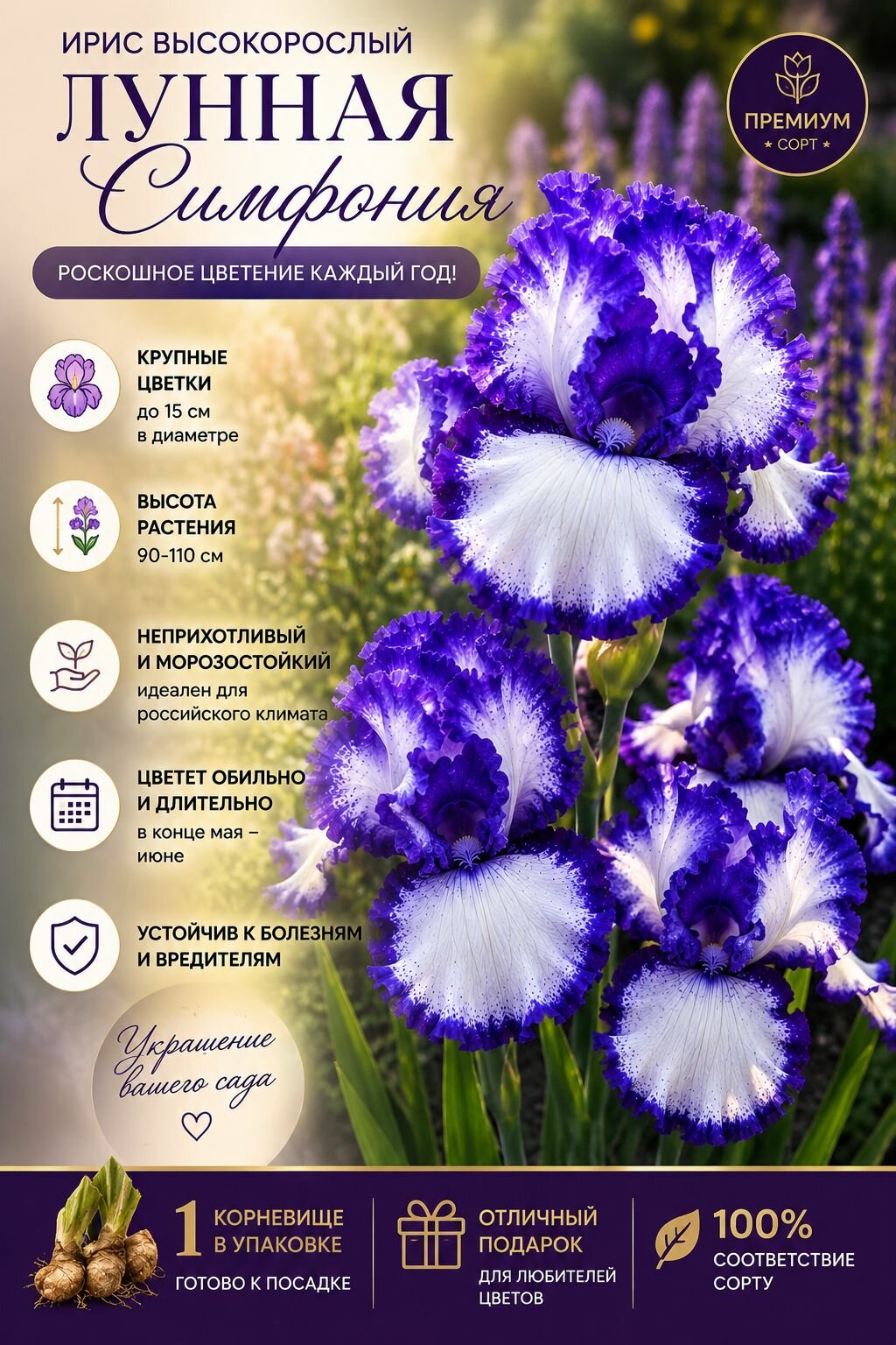 Ирис высокорослый Лунная Симфония