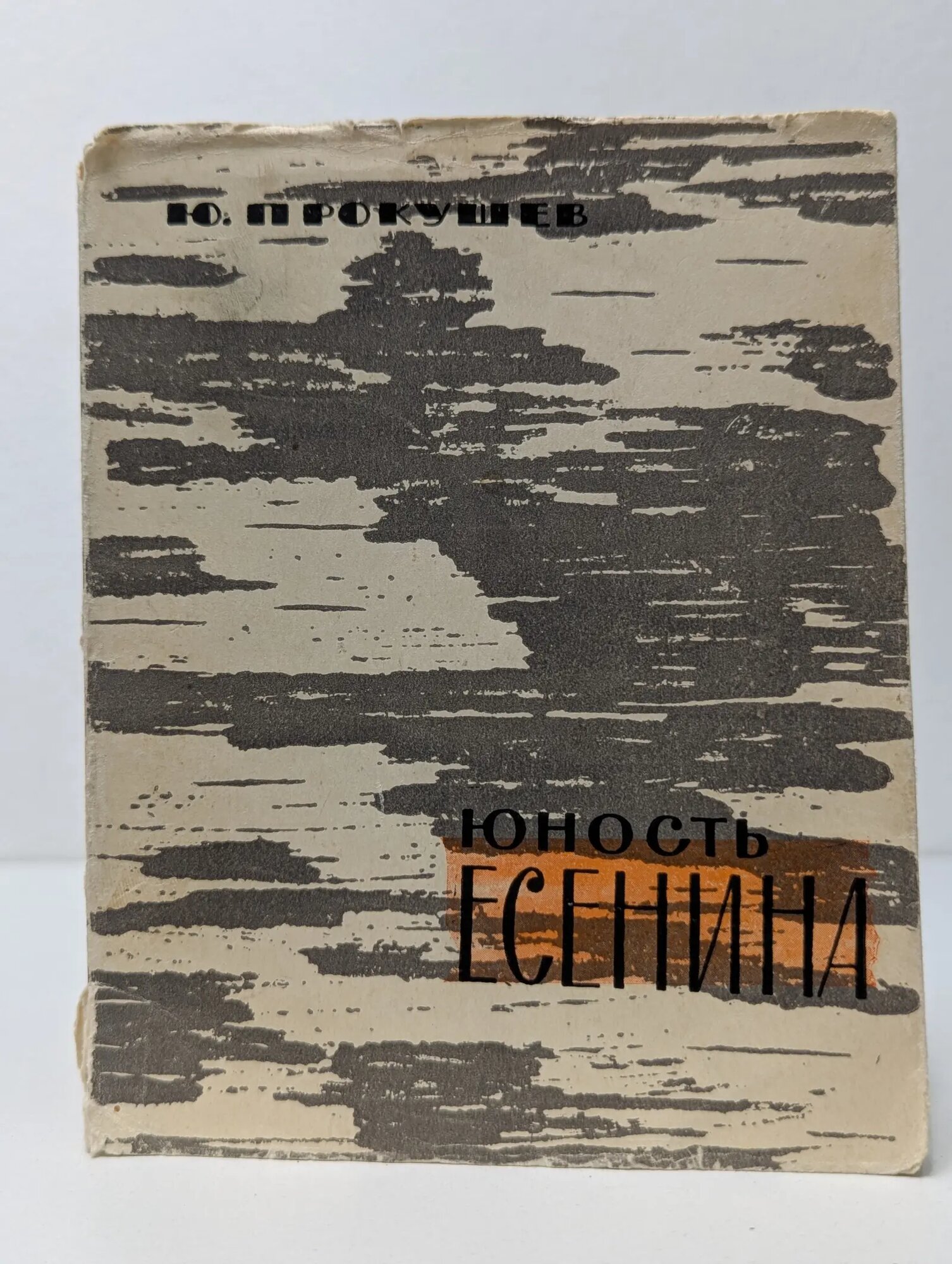 Юность Есенина Прокушев Юрий Львович 1963