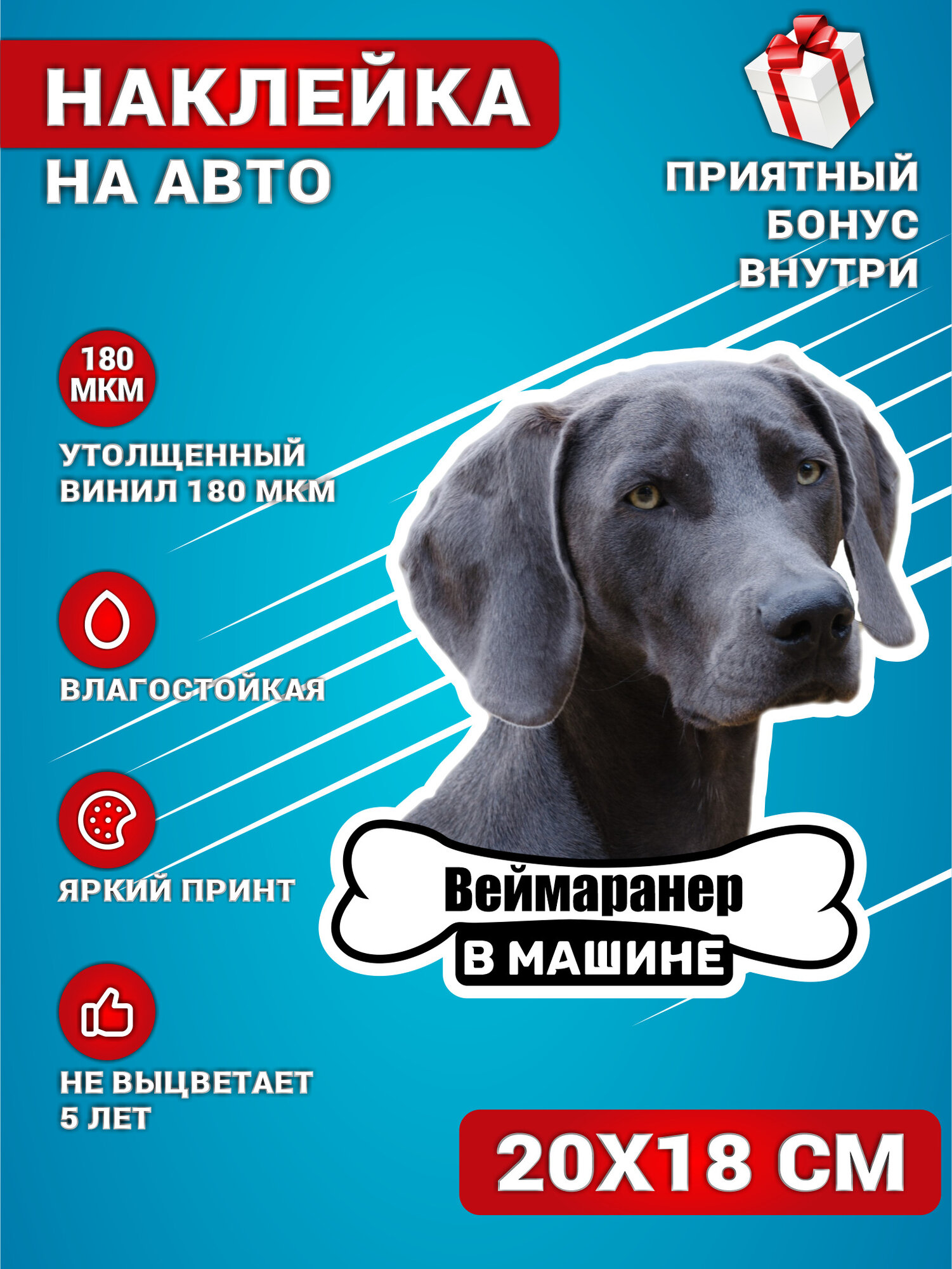Наклейки на авто стикеры на стекло на кузов авто Веймаранер собака в машине 20х18 см