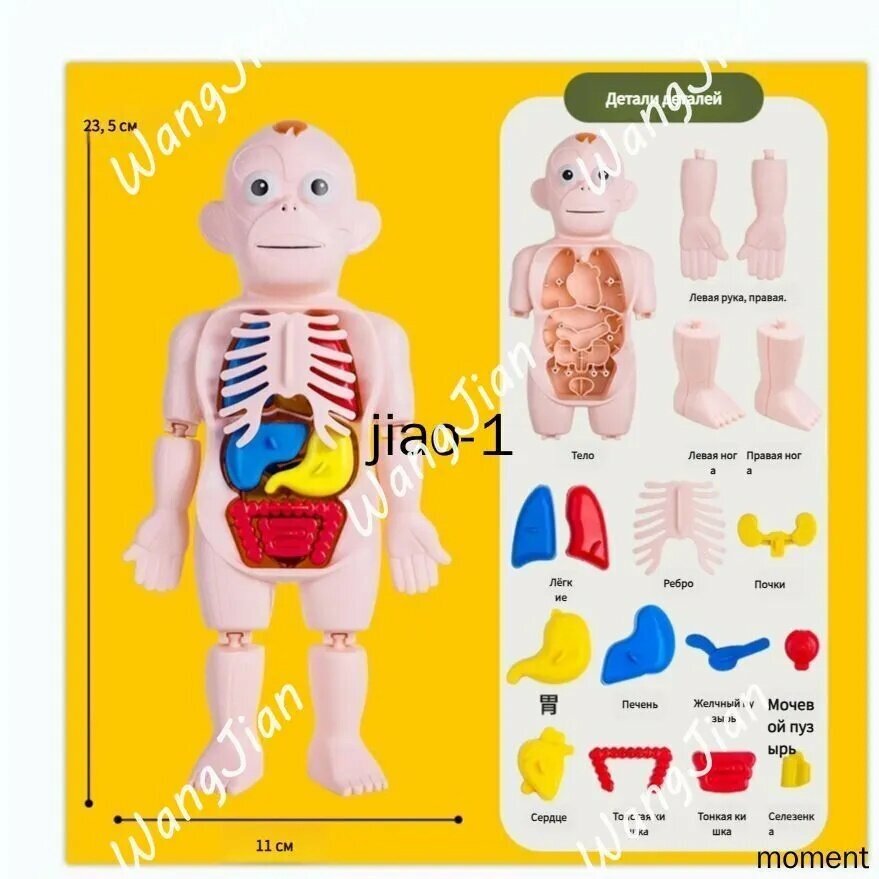 Игровой набор Доктор Юный хирург