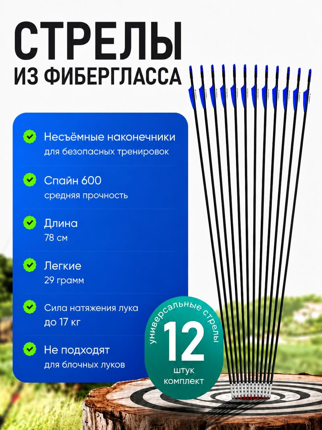 Стрелы для лука 12 штук, спайн 600, спортивные, тренировочные