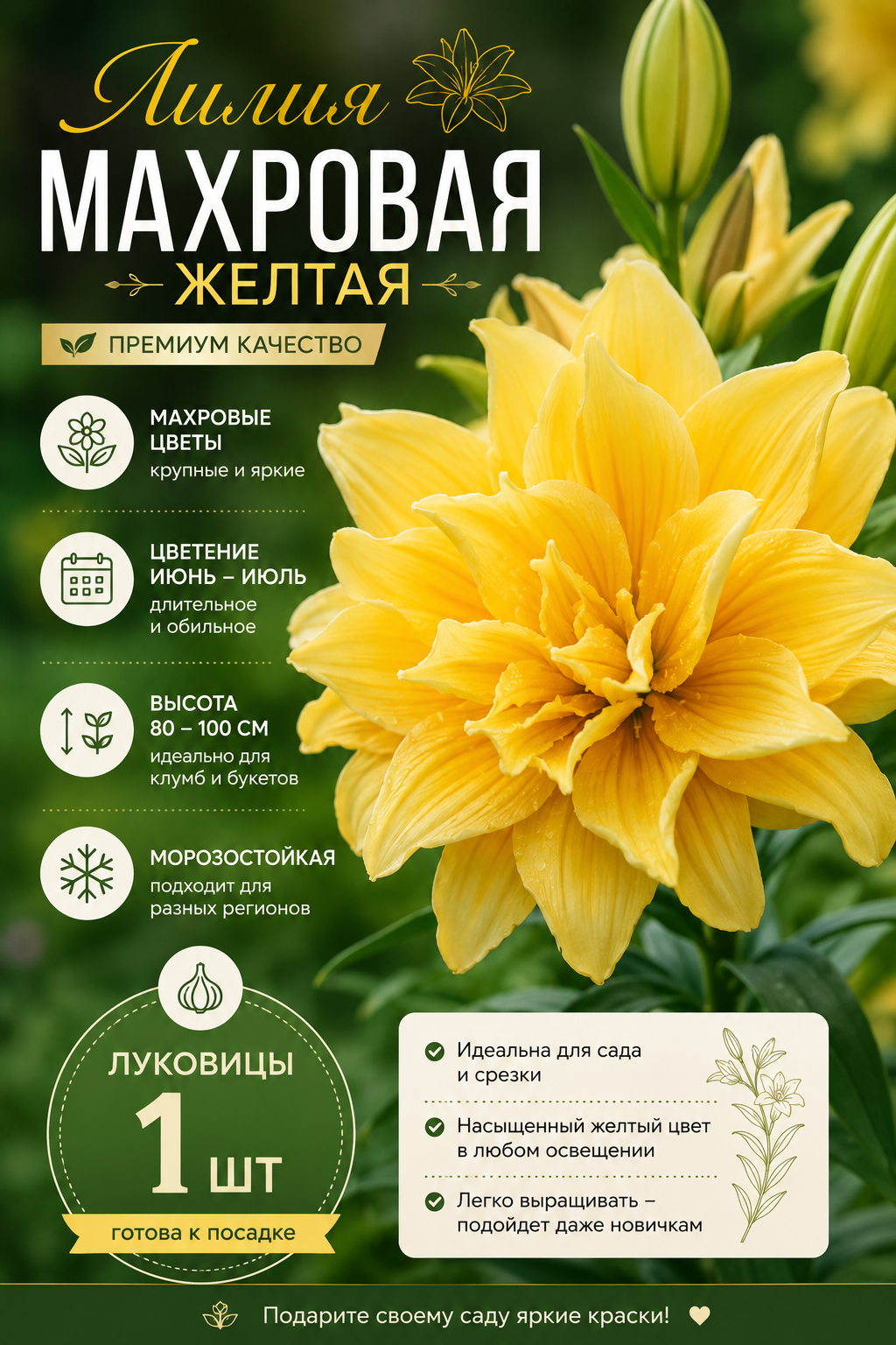 Лилии луковицы махровой желтой