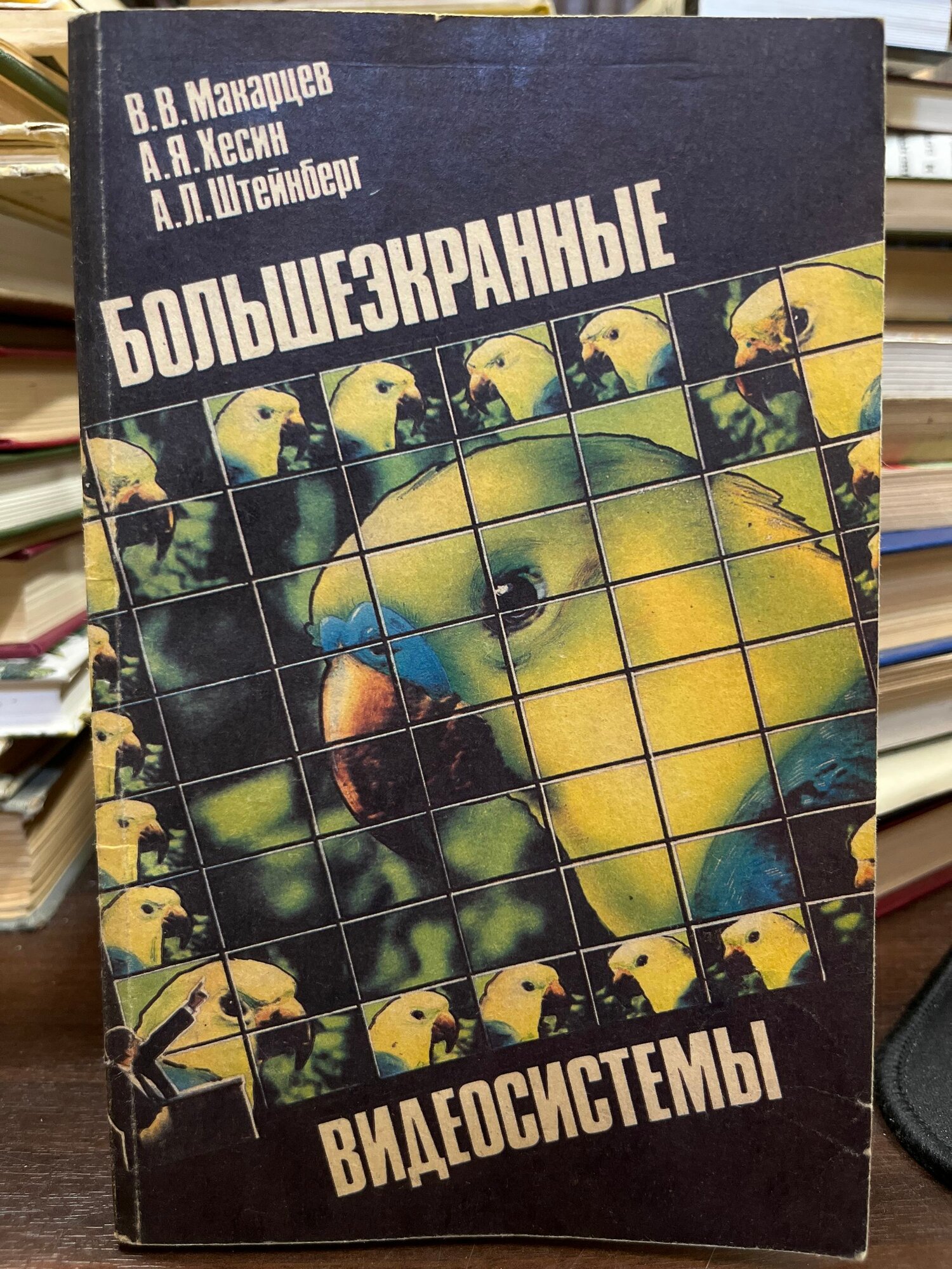 Большеэкранные видеосистемы