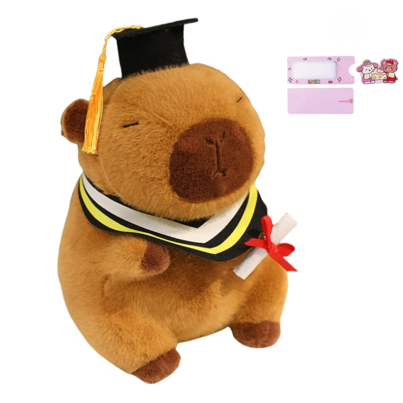 Плюшевая игрушка унисекс AOLETU Доктор Капибара Кун, 25CM EU