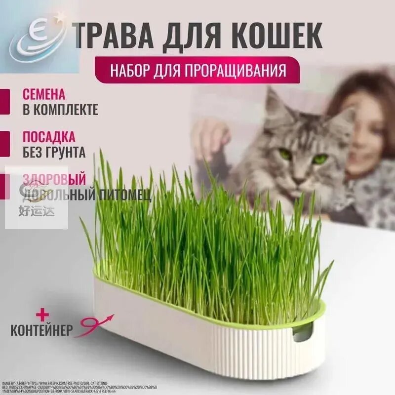 Миска для животных — фото 1