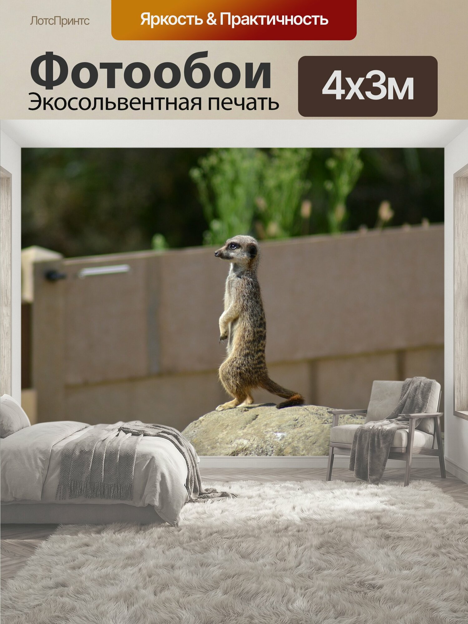 Фотообои "Сурикат, сурик, простые" 400x300 см. экосольвентная печать