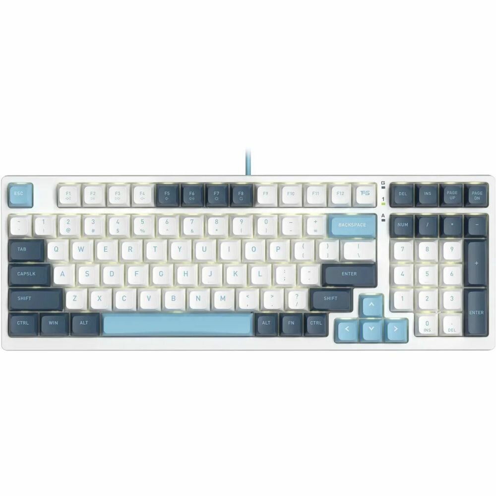Клавиатура проводная A4Tech Fstyler FS300 (FS300 PANDA SNOWBOARDING), USB, белый/синий
