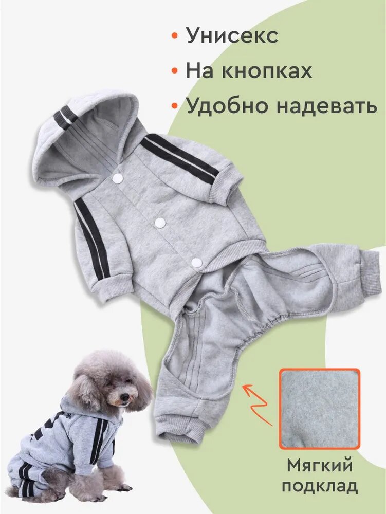 Одежда для животных — фото 1