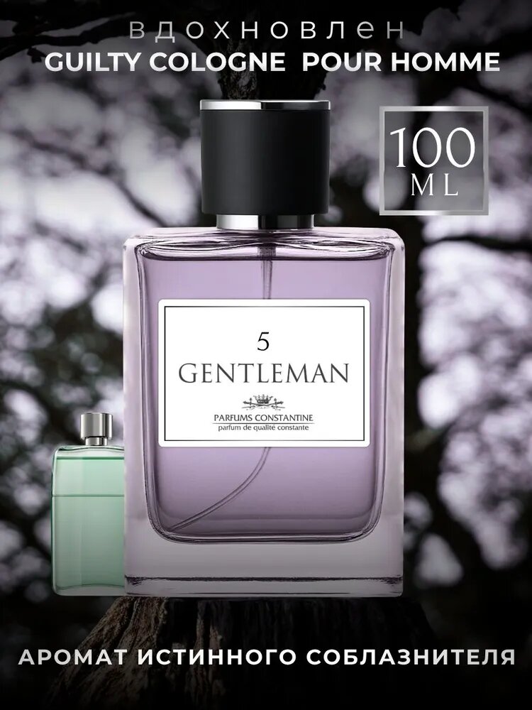 Духи мужские GENTLEMAN №5 Древесный, Фужерный, Цитрусовый, 100 мл