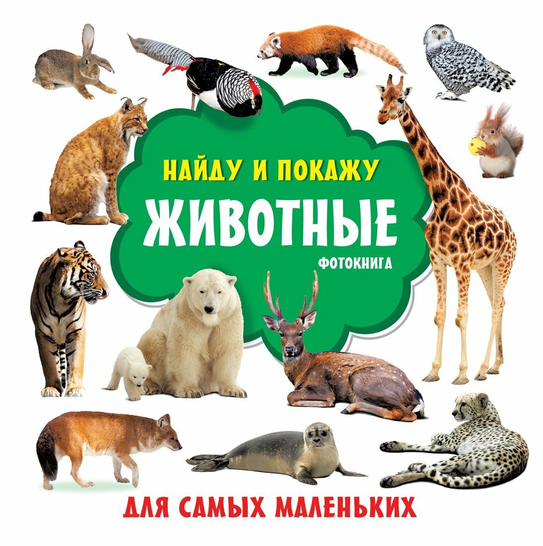Активити АСТ Фотокнига, "Животные", 27х27 см, 24 листа (7258-3)