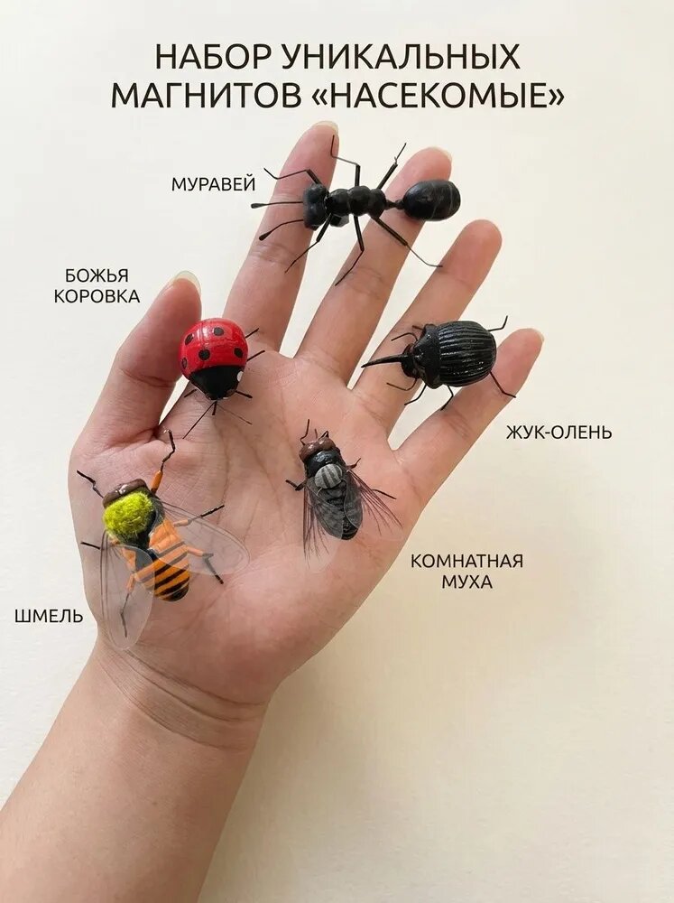 Магнит для холодильника, Миниатюрные насекомые, Мухи, муравьи, божьи коровки, пчелы, навозные жуки
