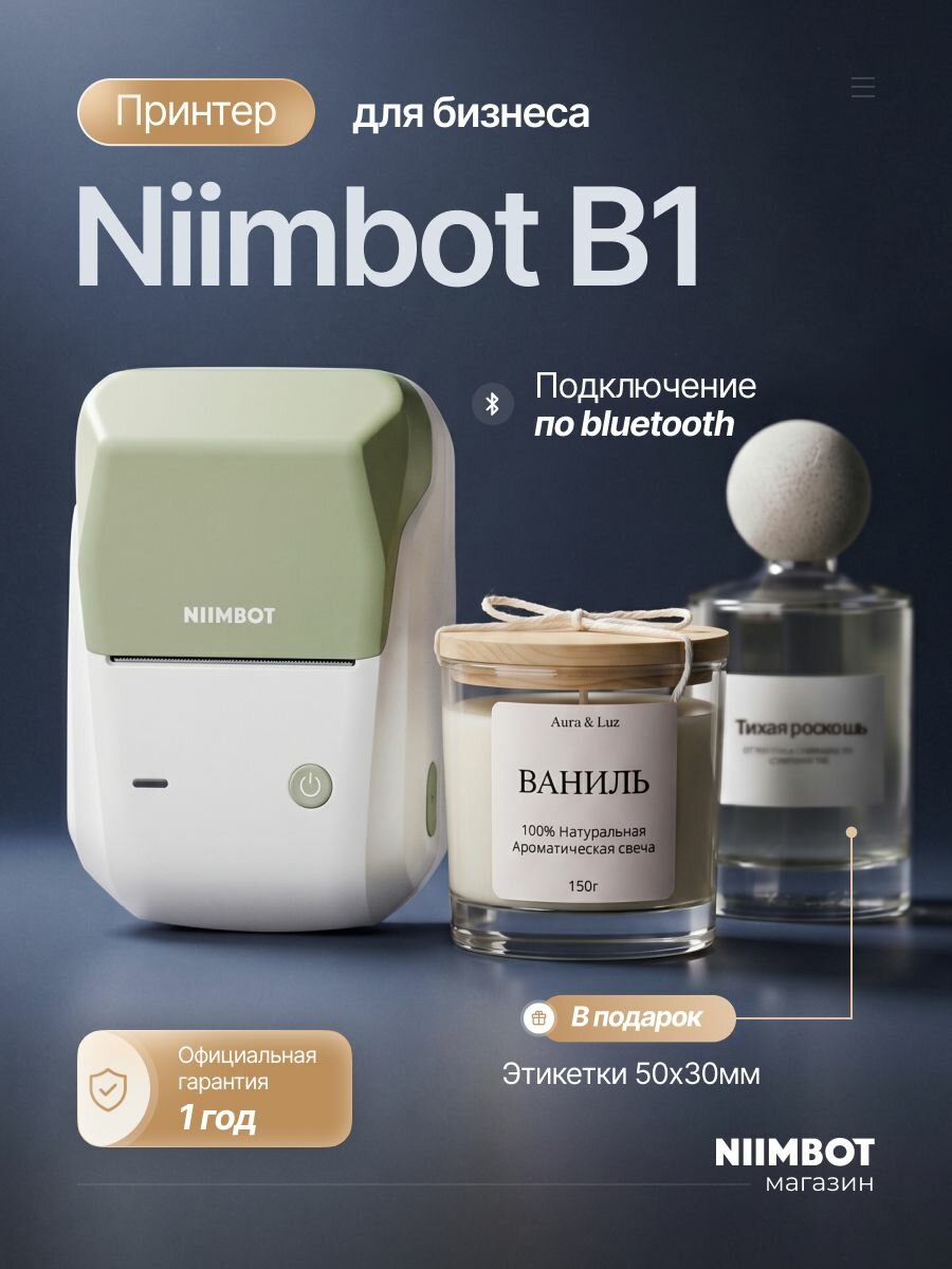 Термопринтер для этикеток и наклеек Niimbot B1 светло-зеленый, беспроводной + рулон этикеток 50x30 мм