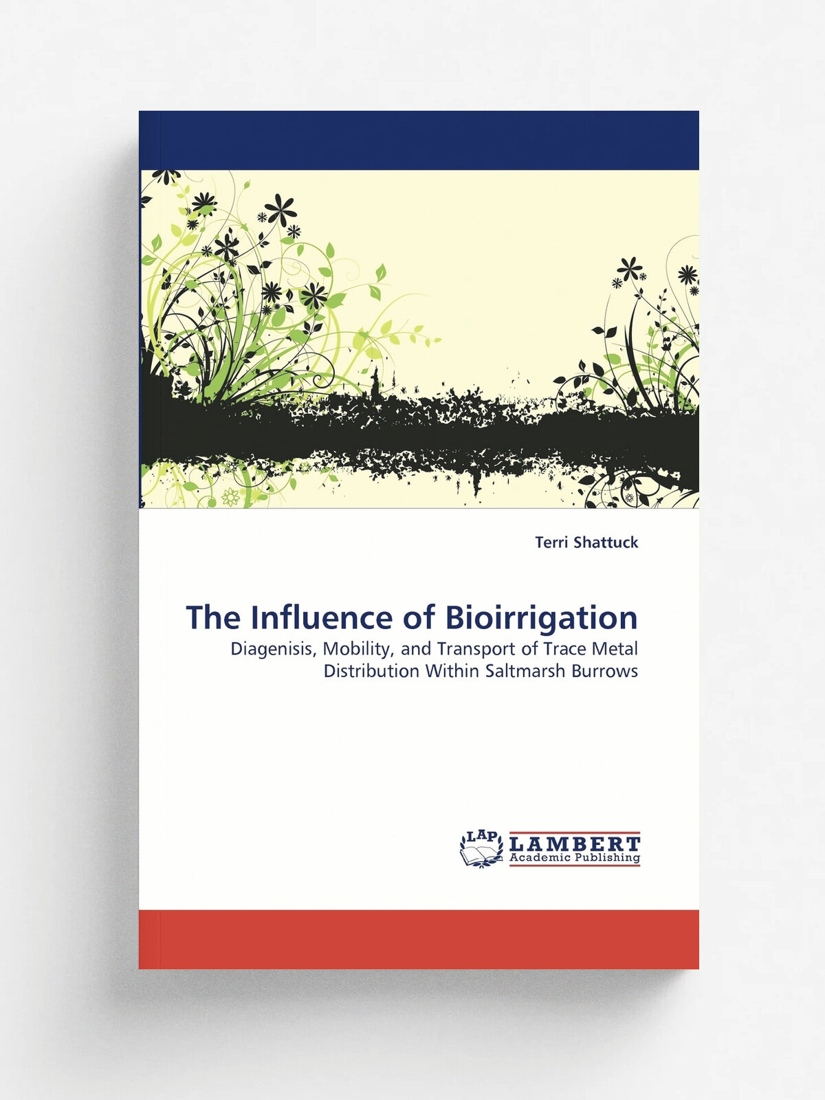 The Influence of Bioirrigation