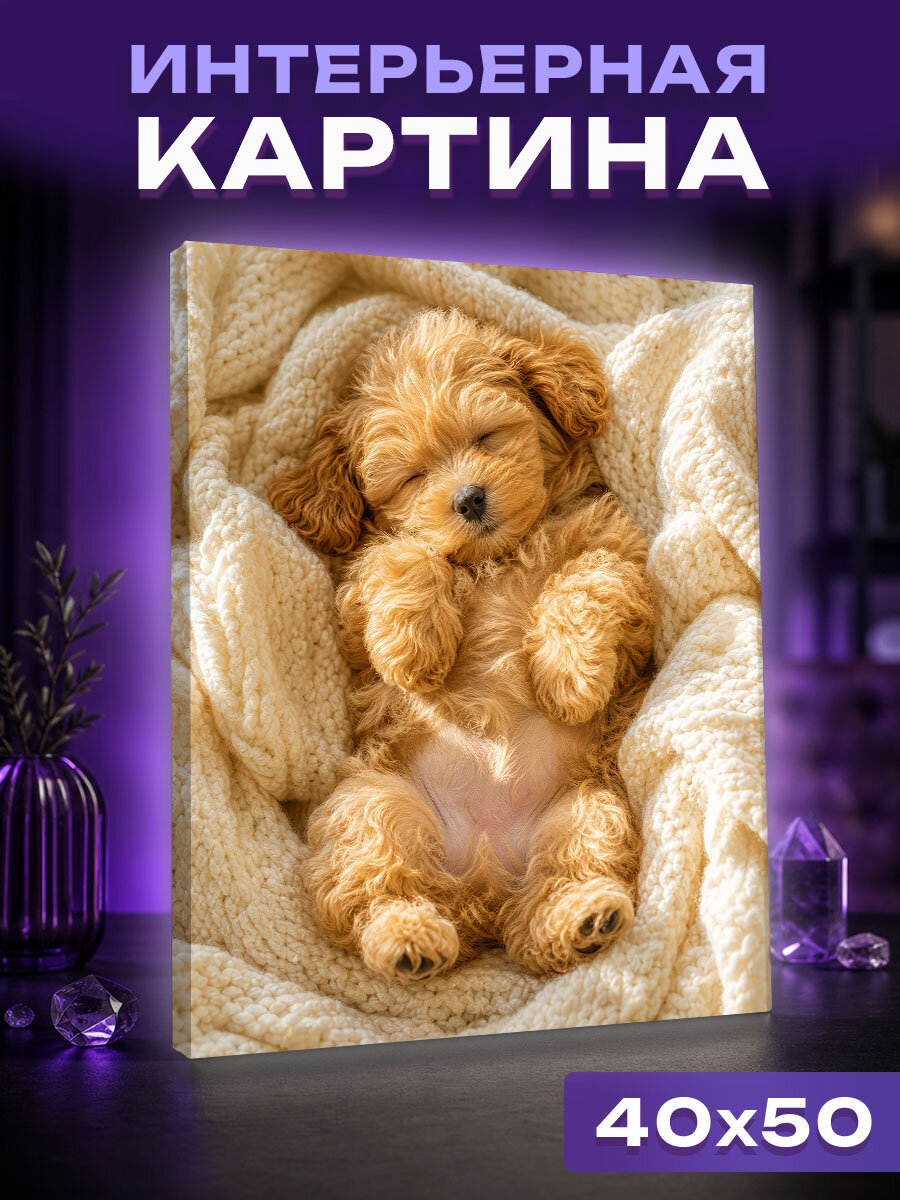 Интерьерная картина мальтипу в кашемире