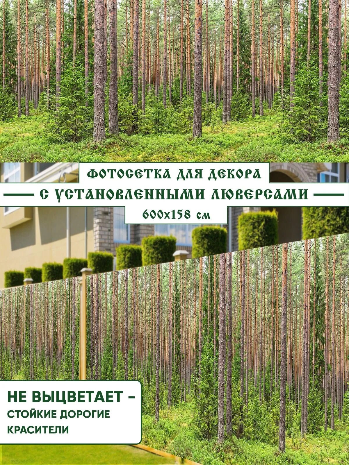 Фотосетка Мечта 600x158 см, "Хвойный лес"