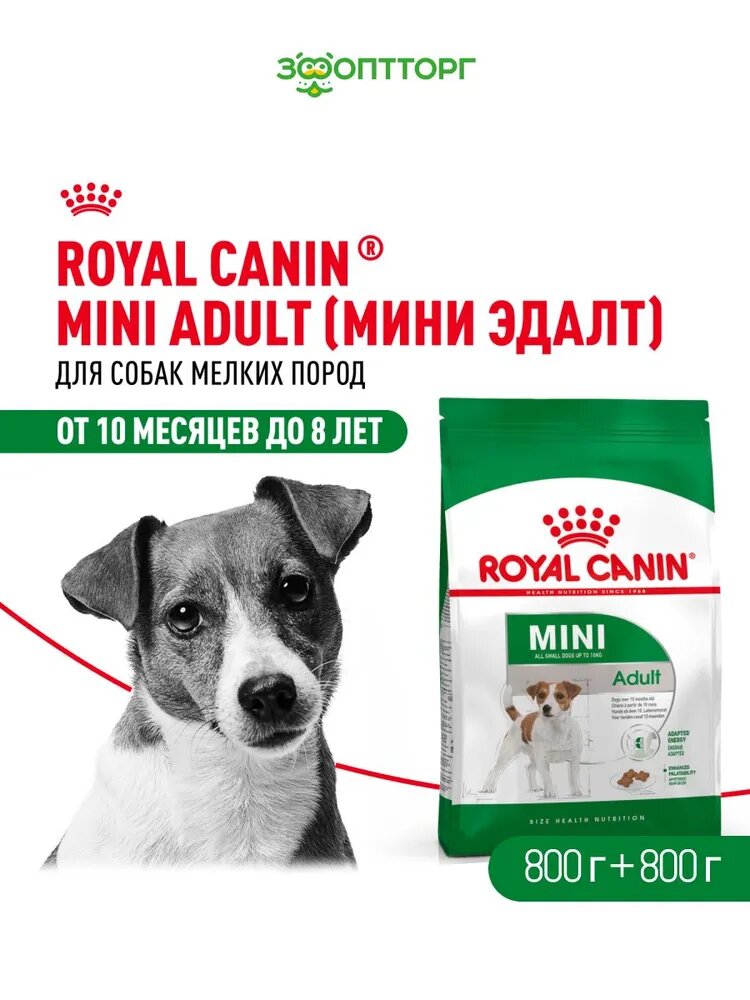 Сухой корм Royal Canin Mini Adult для взрослых собак мелких пород, Птица 800 г х 2 шт