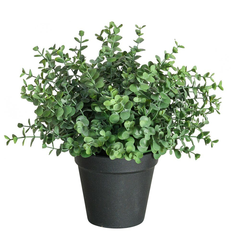 Fiebiger Floristik 108431-800 Цветок декоративный в кашпо "Эвкалипт", 25 см