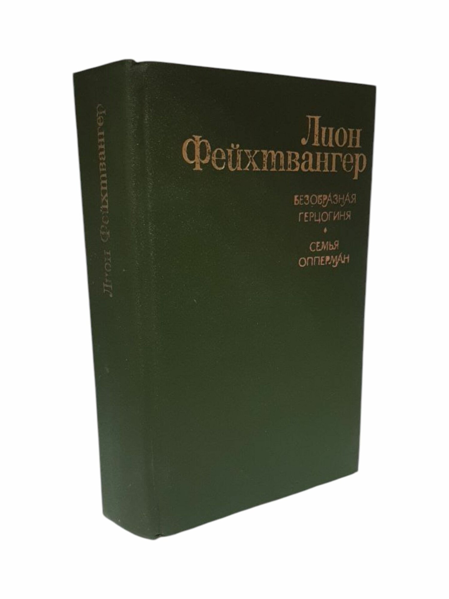 Безобразная герцогиня. Семья Опперман. Лион Фейхтвангер