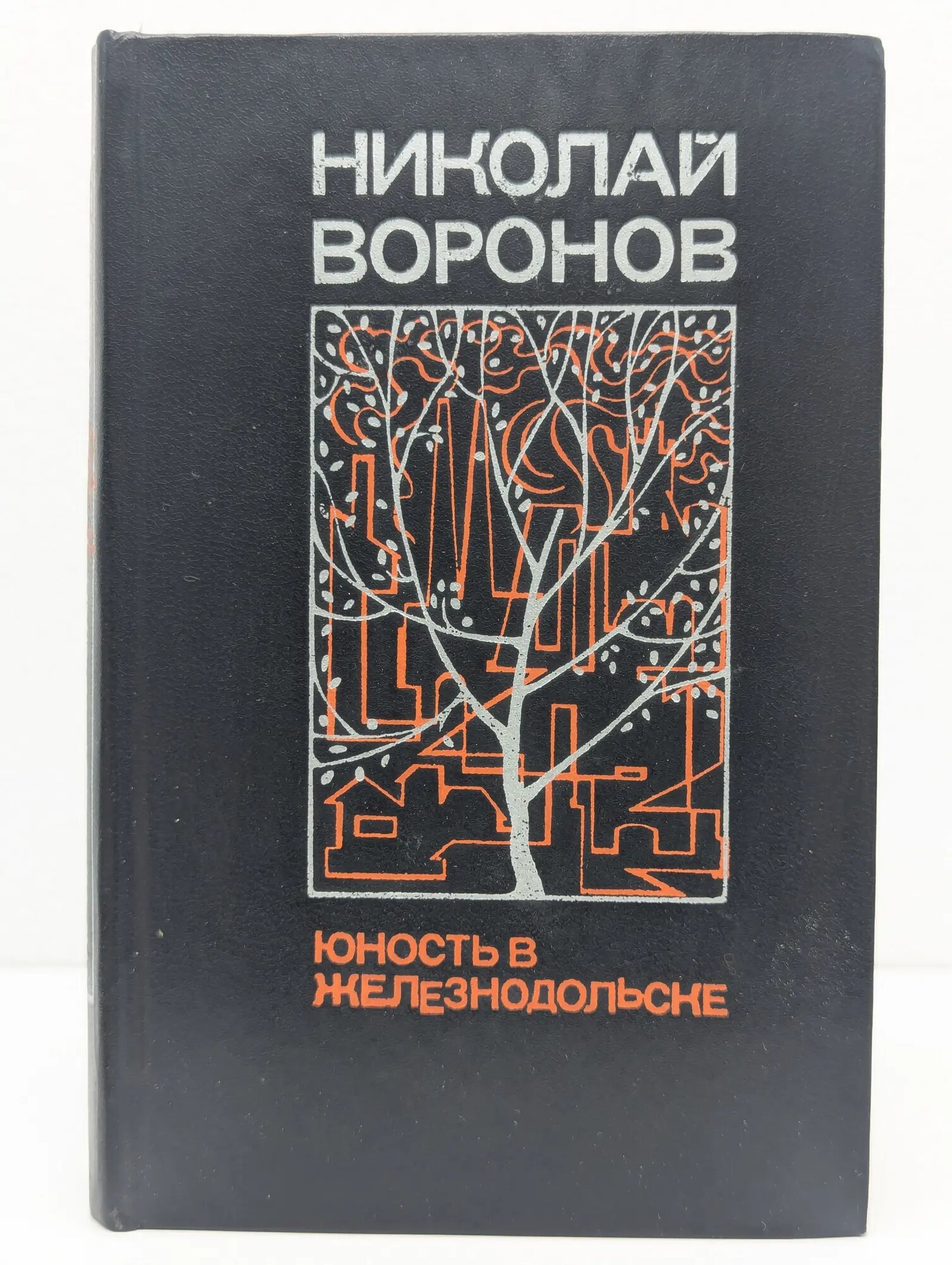 Юность в Железнодольске Воронов Николай Павлович 1979