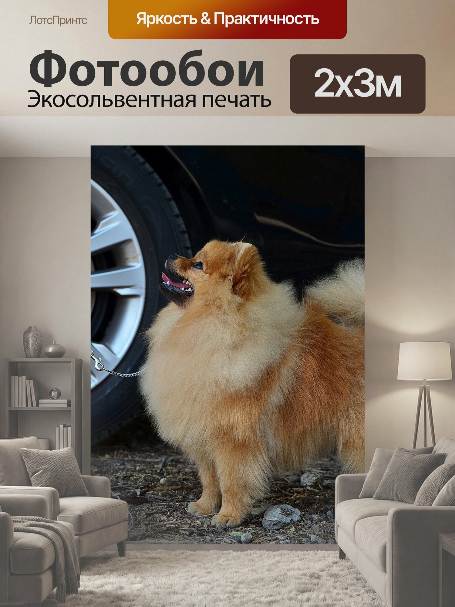 Фотообои "Померанец, шпиц, собака" 200x300 см. экосольвентная печать