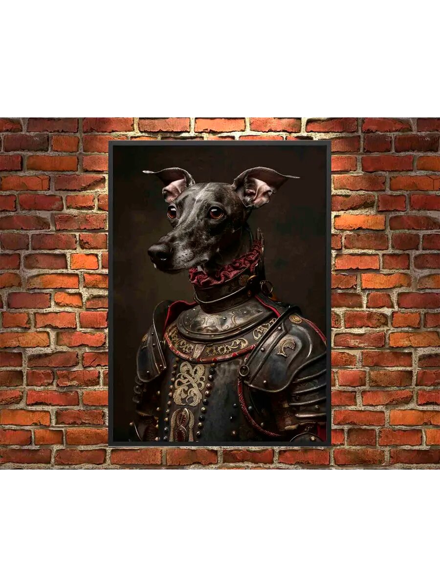 Итальянская борзая собака Рыцарь 1, Плакат 30x42см