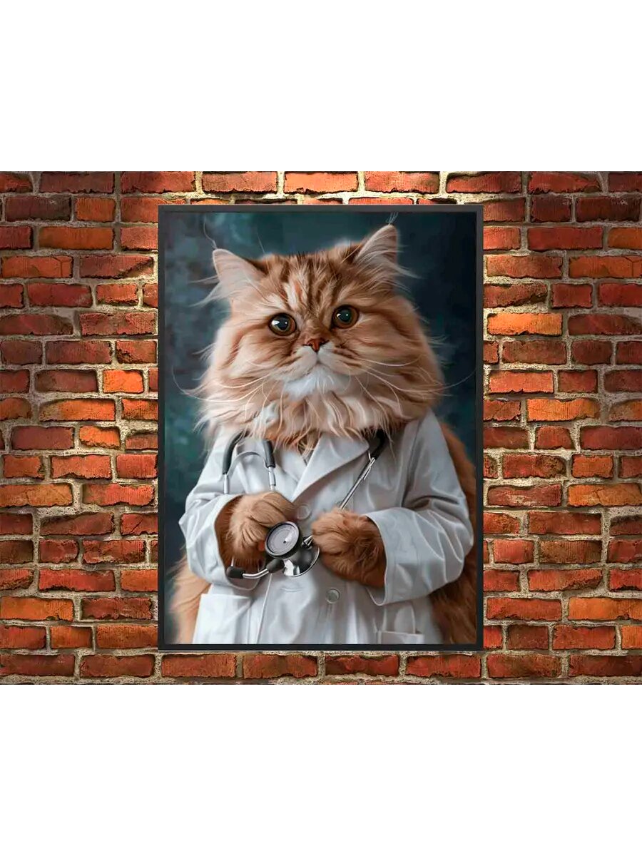 Британский длинношерстный кот Доктор 3, Плакат 30x42см