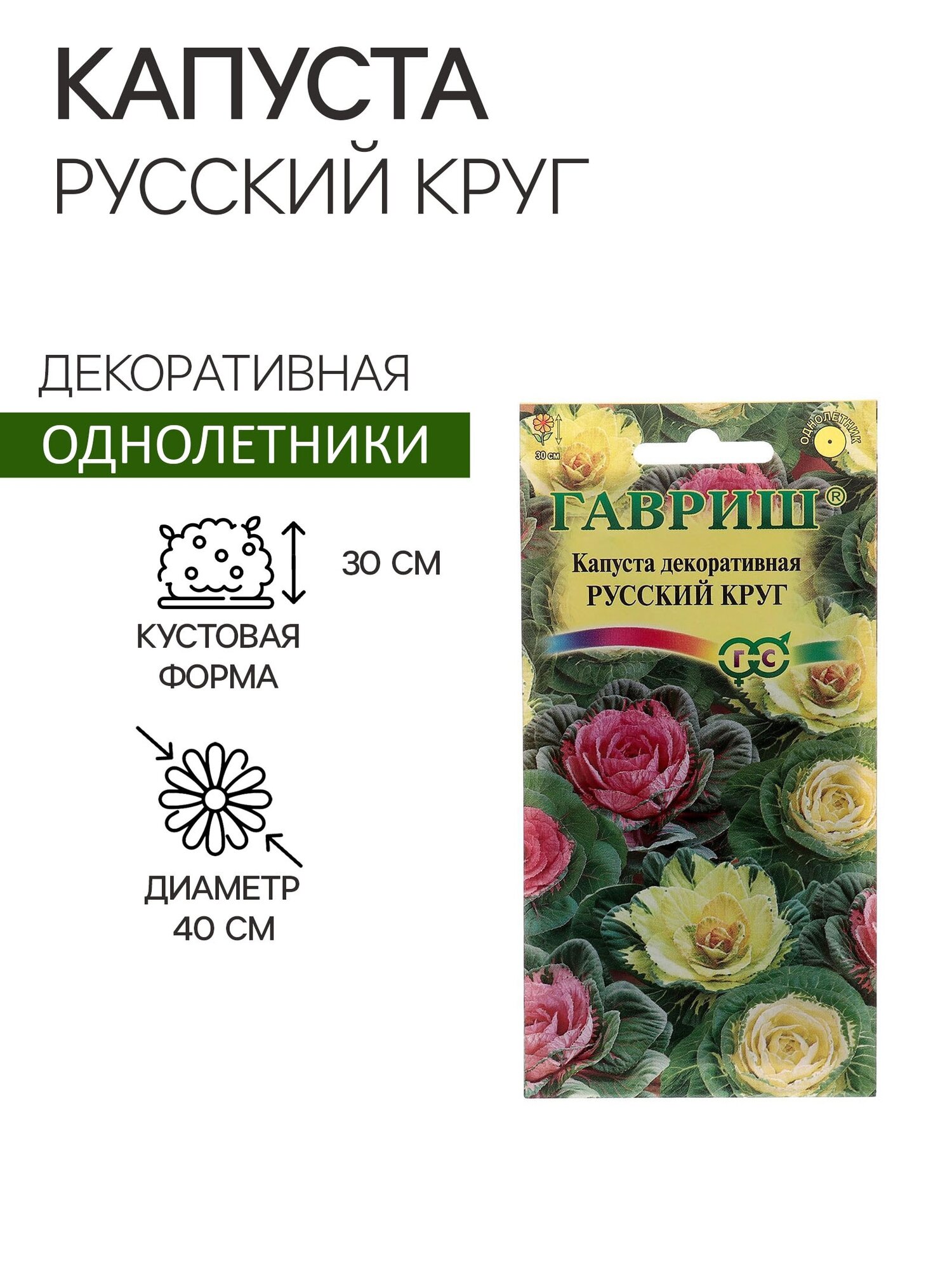 Семена цветов Капуста декоративная «Русский круг» 0.05 г
