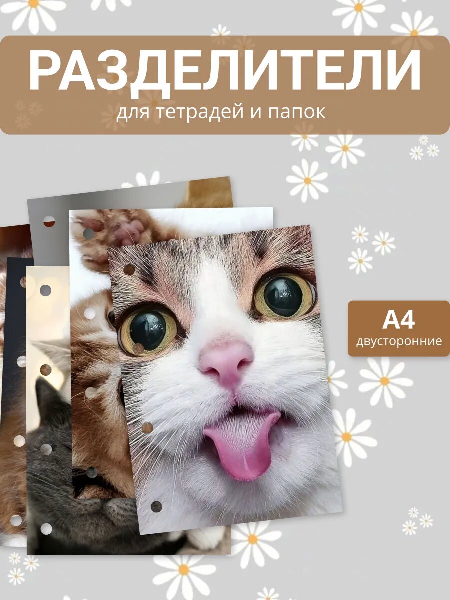 Разделители pinterest для тетради А4, котики из пинтерест