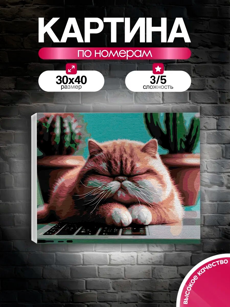 Картина по номерам 30x40 Кот-программист