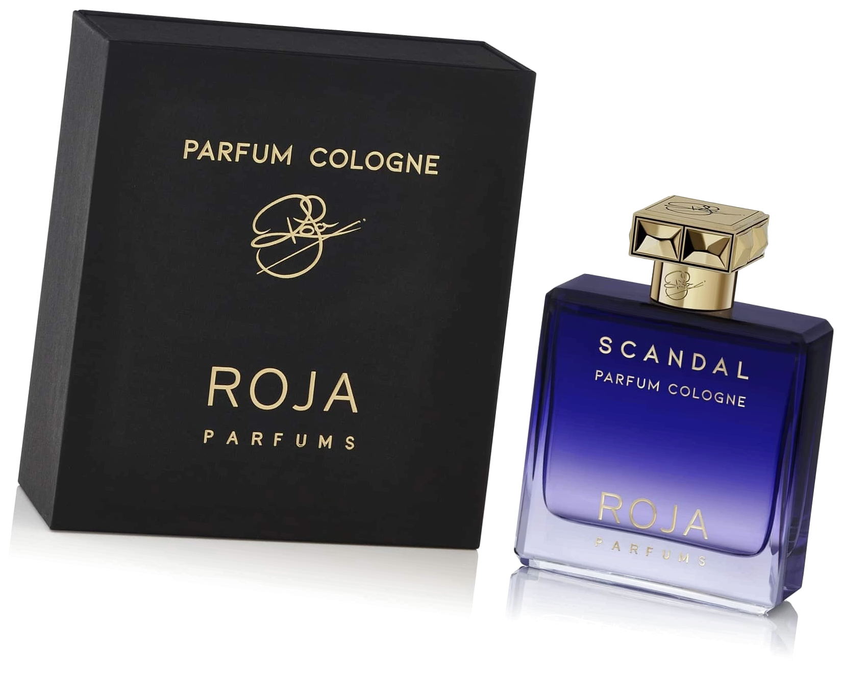 Роже Дав Скандал Пур Хом мужской парфюм 100 мл - Scandal Pour Homme Parfum Cologne