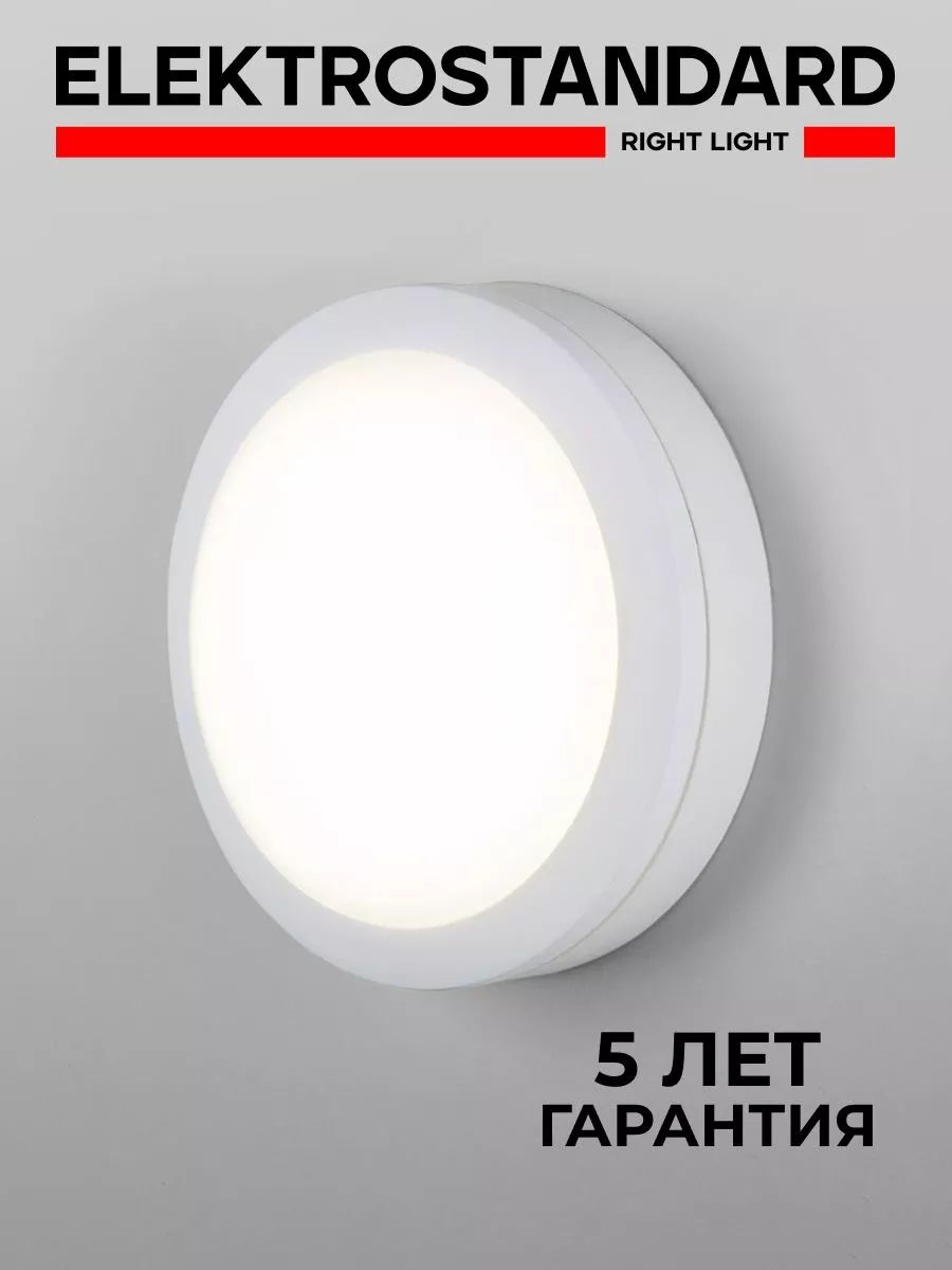 Светильник уличный настенный светодиодный лофт Elektrostandard Circle LTB51 LED 15W 6500K Белый LED IP65