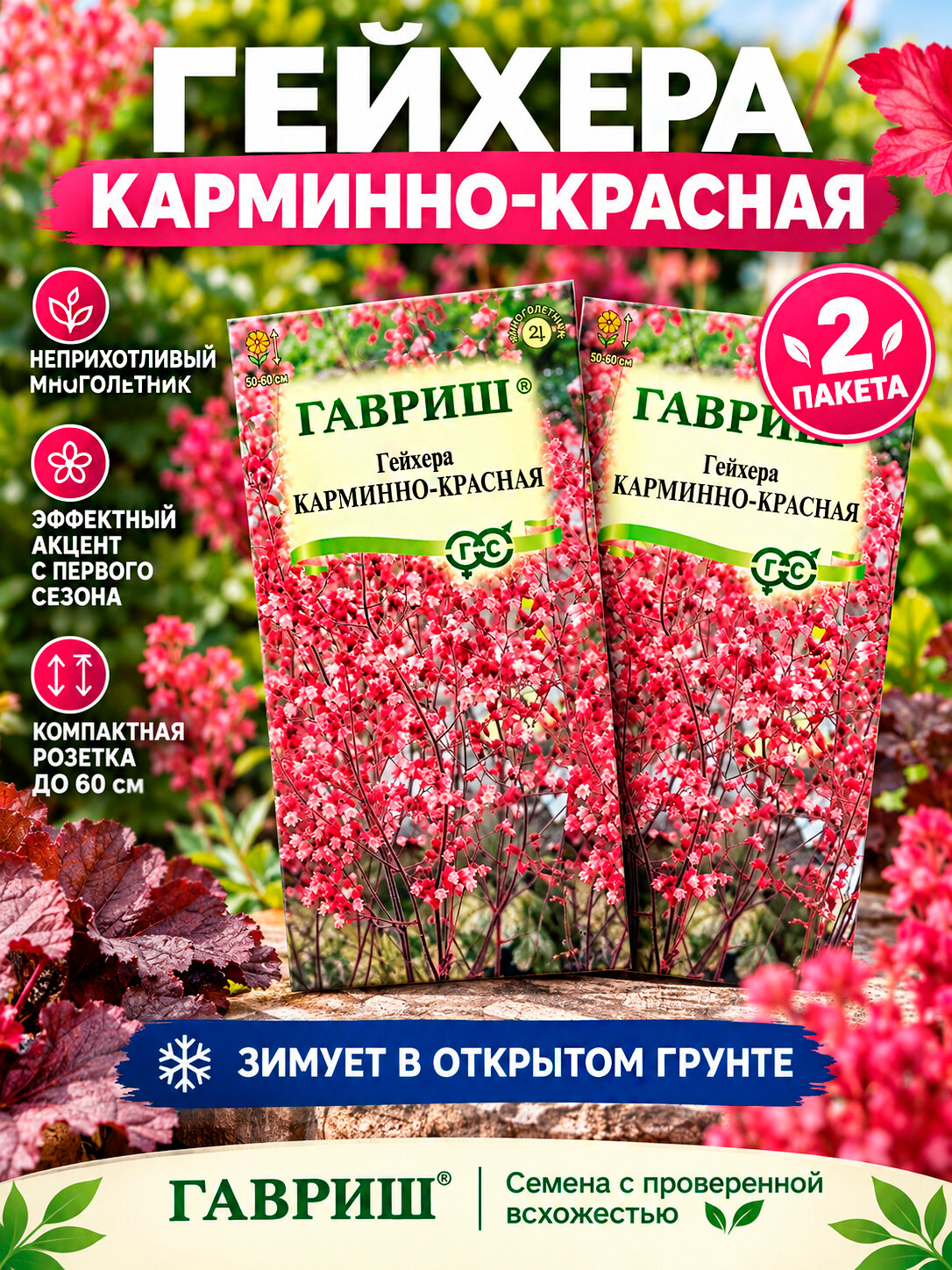 Семена гейхера 2 пакета