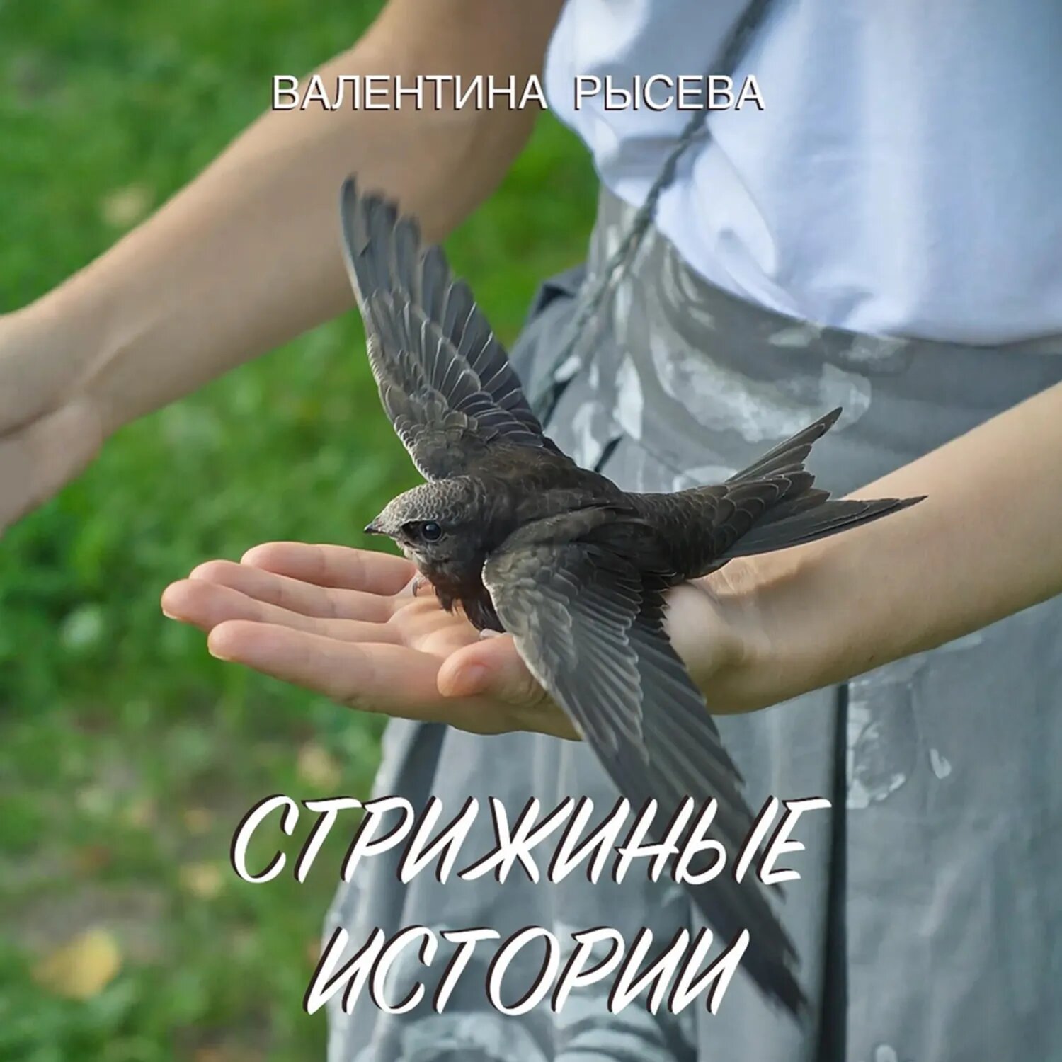 Стрижиные истории [Аудиокнига]