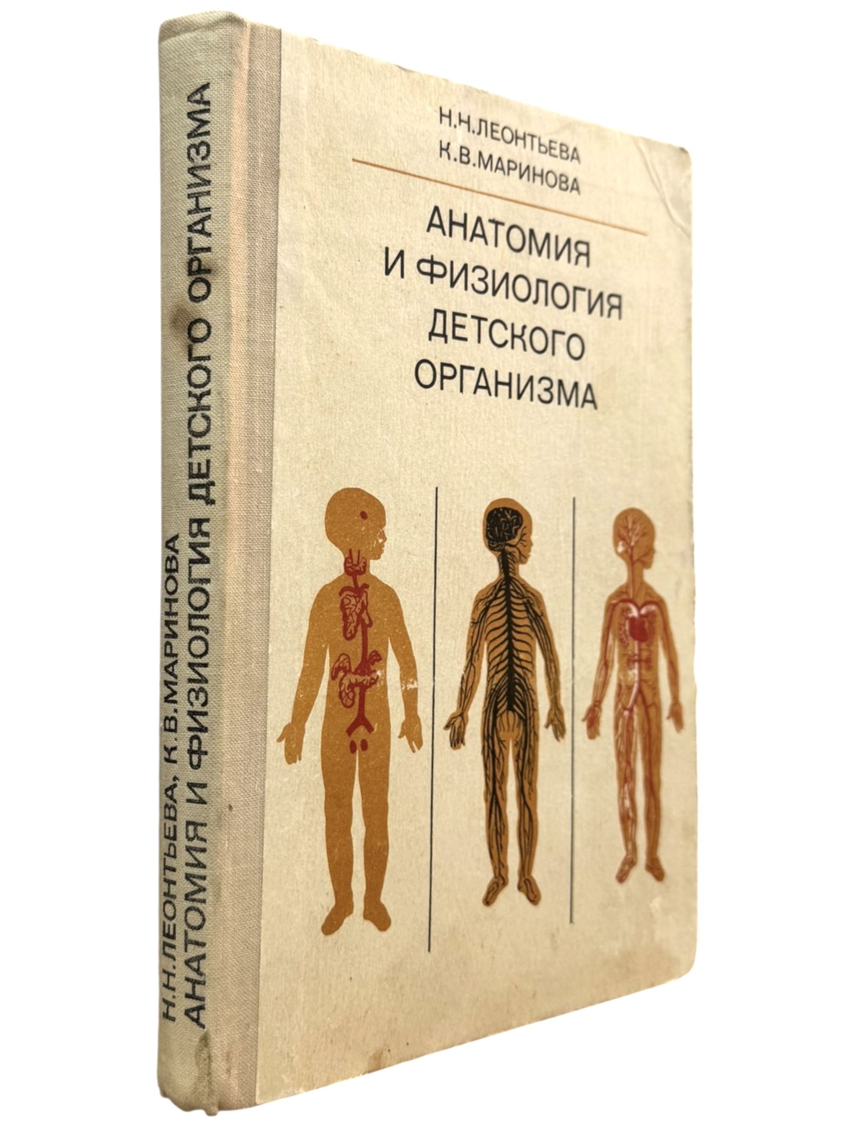 Анатомия и физиология детского организма
