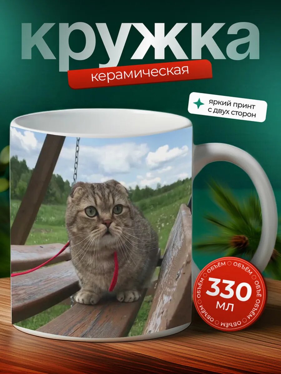 Кружка Маврикийский коралл кот 21,