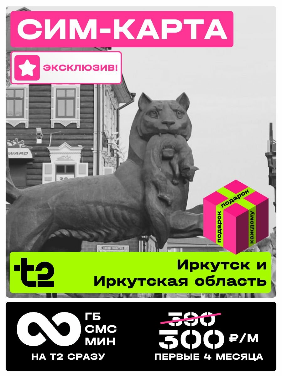 Сим карта теле 2 с безлимитным интернетом и минутами. t2 SIM-карта тариф хватит Иркутская область. За 300 рублей в месяц.