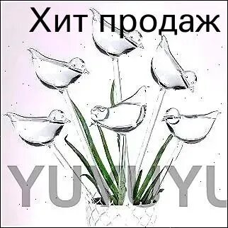 Автополив, 6 шт, цвет прозрачный