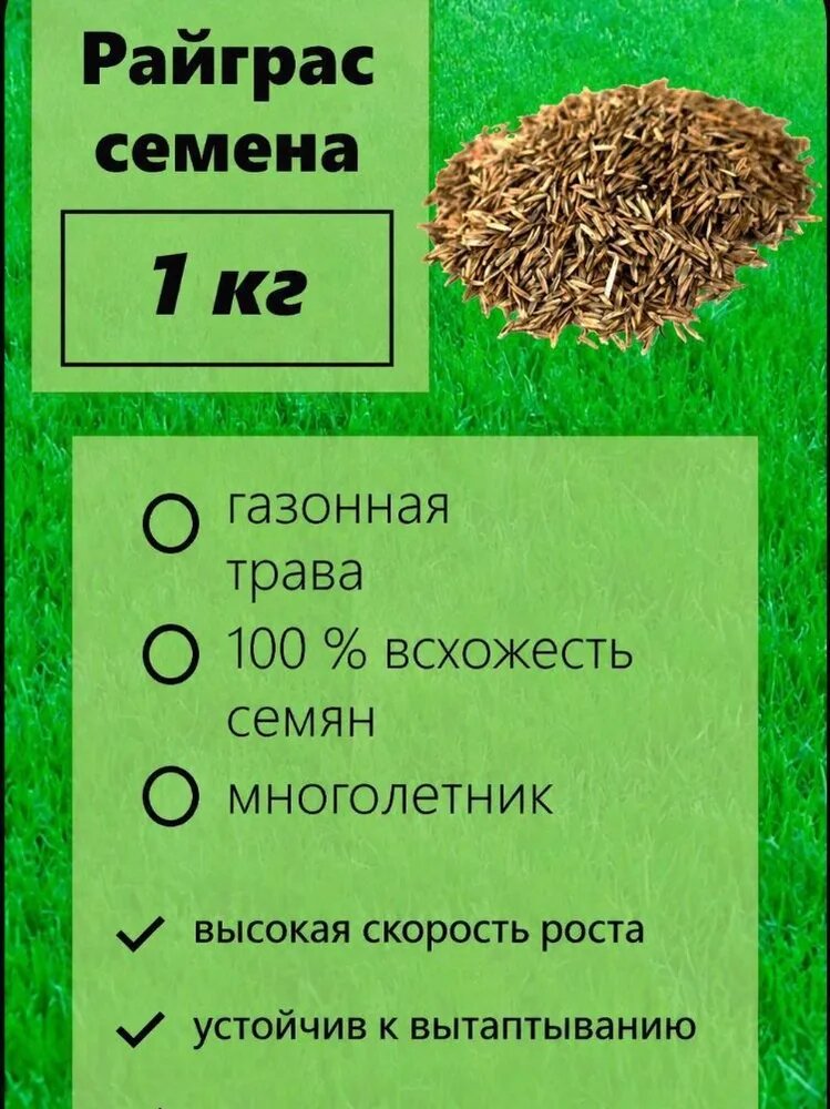 Райграс семена 1 кг Трава для газона / Газонные травы