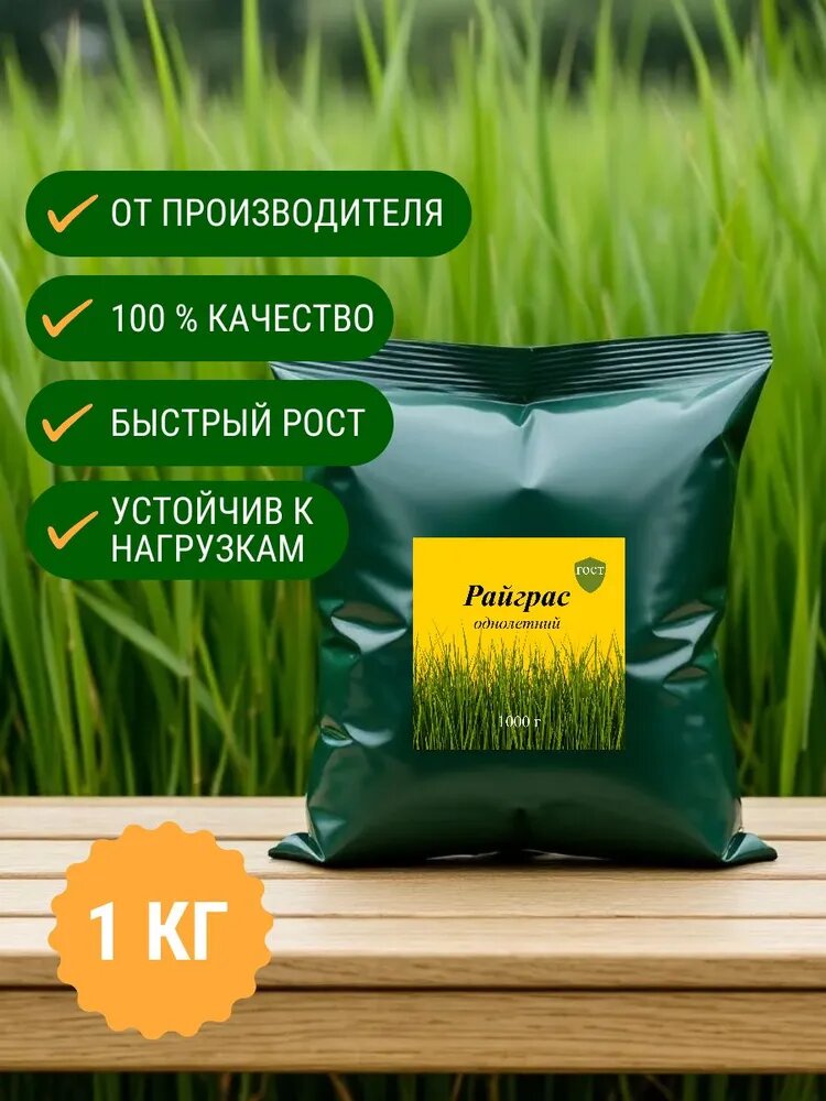 Семена. Райграс однолетний.