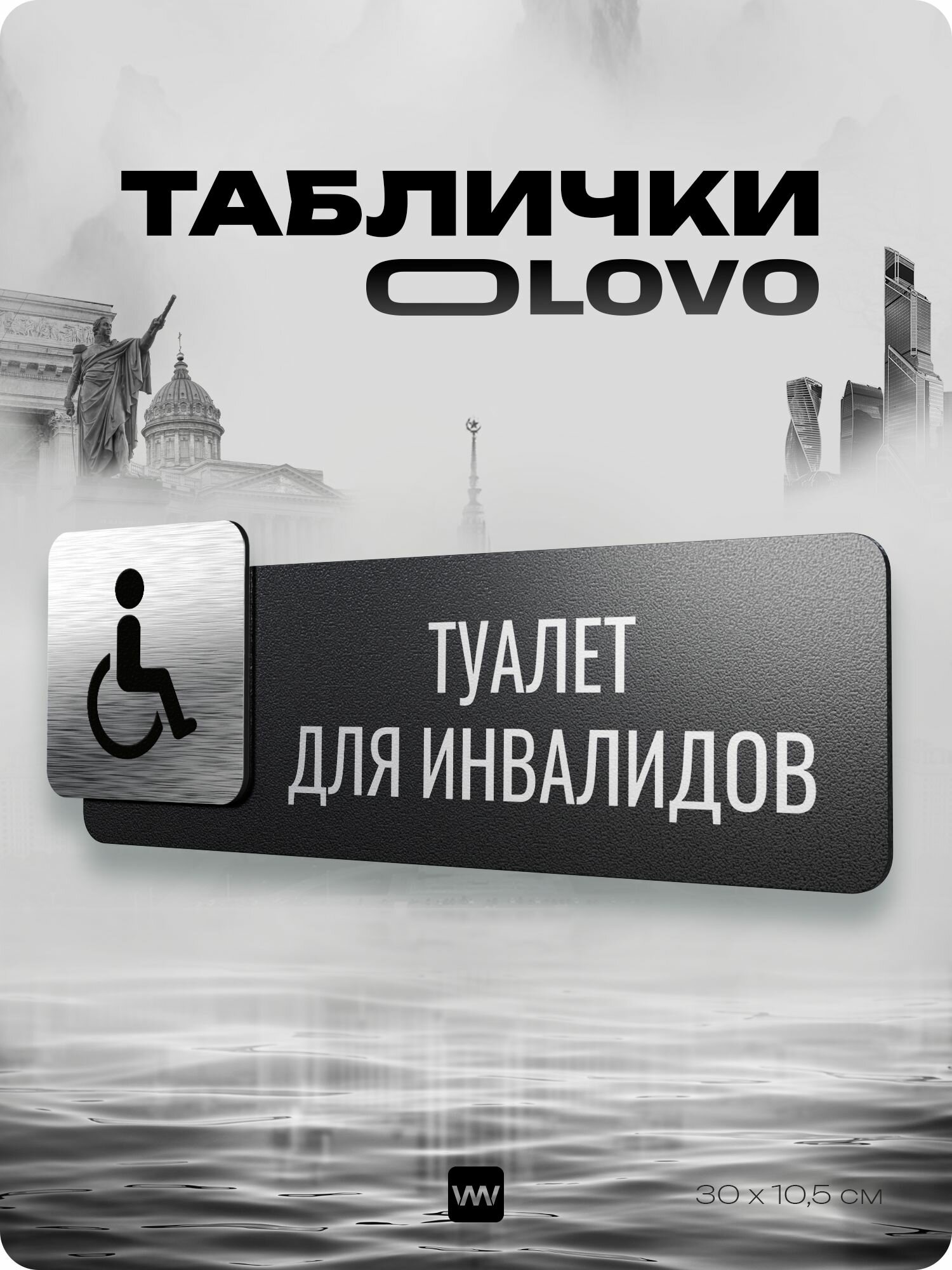 Табличка "Туалет для инвалидов" на дверь, для офиса, общественного места, серия OLOVO/олово SLV, Айдентика Технолоджи