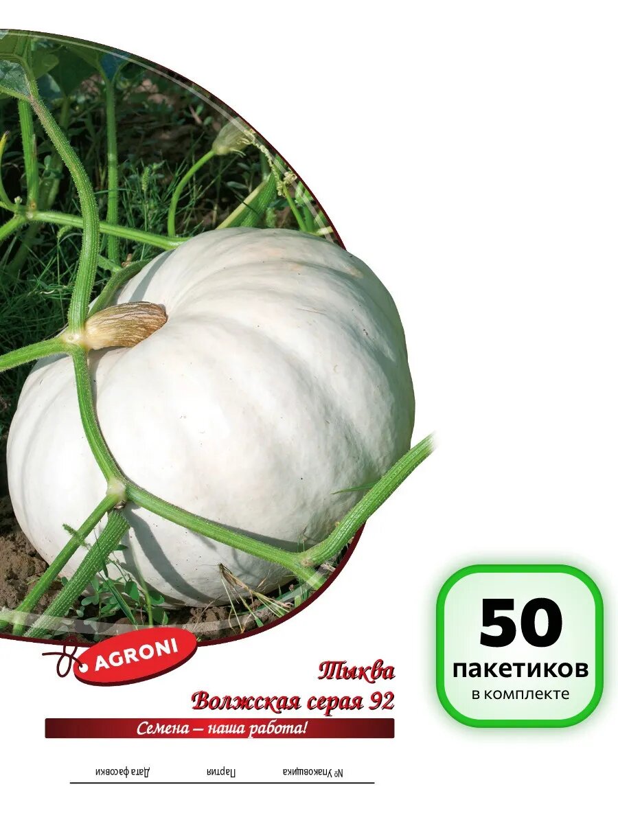 (50 шт.) - Семена Тыква Волжская серая 92 (2,0г)