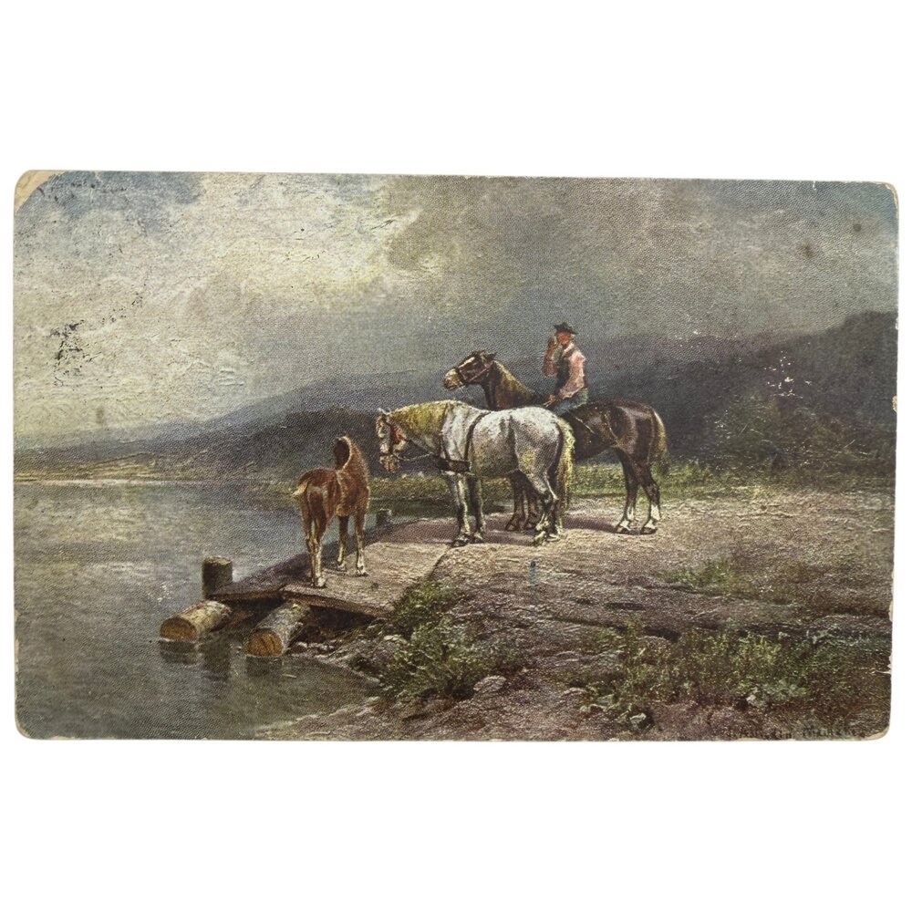 Почтовая открытка "Лошади на водопое" 1900-1907 гг. Германская Империя