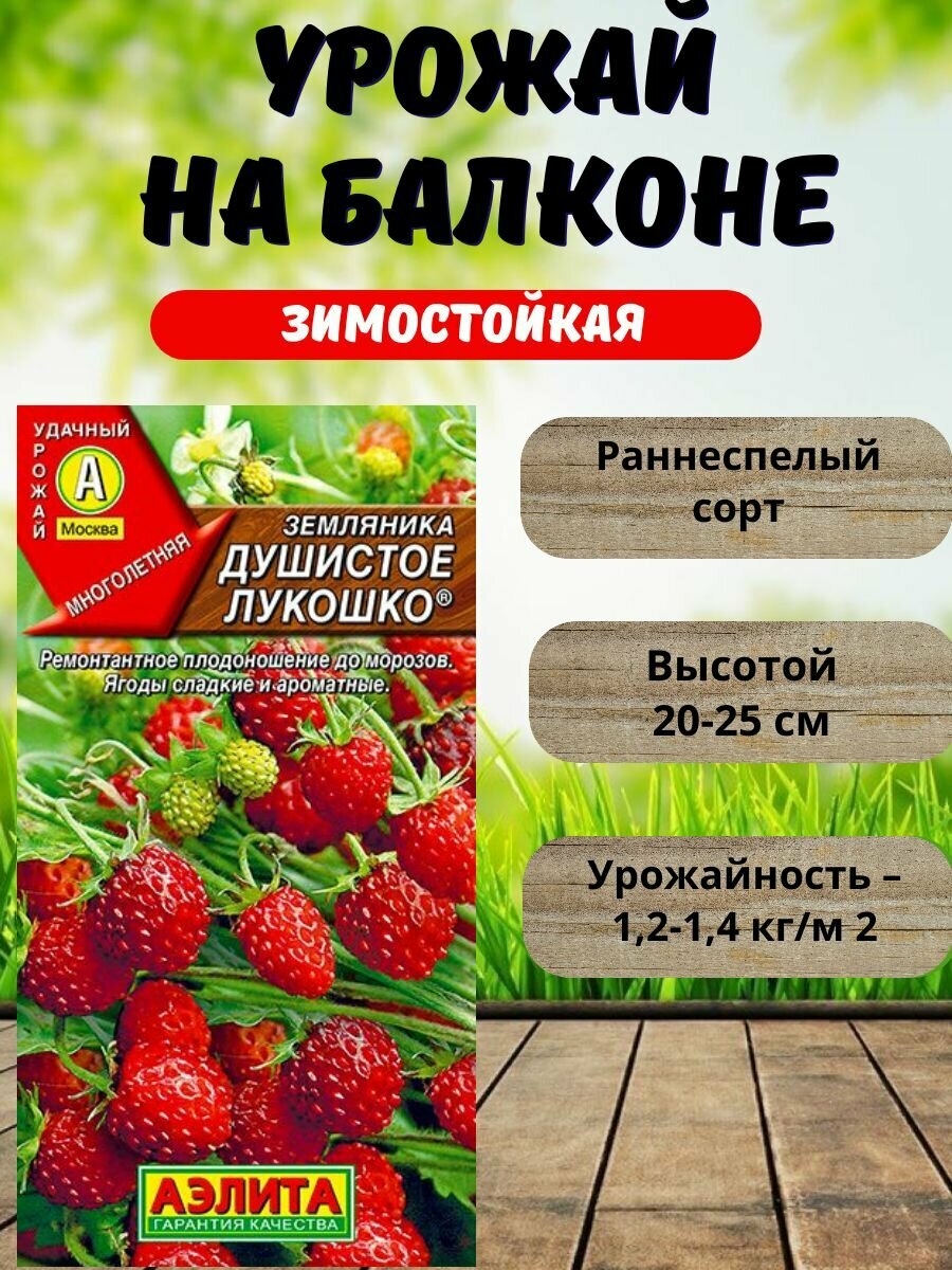 Земляника Душистое лукошко, семена для дома и огорода семена земляники семена для сада