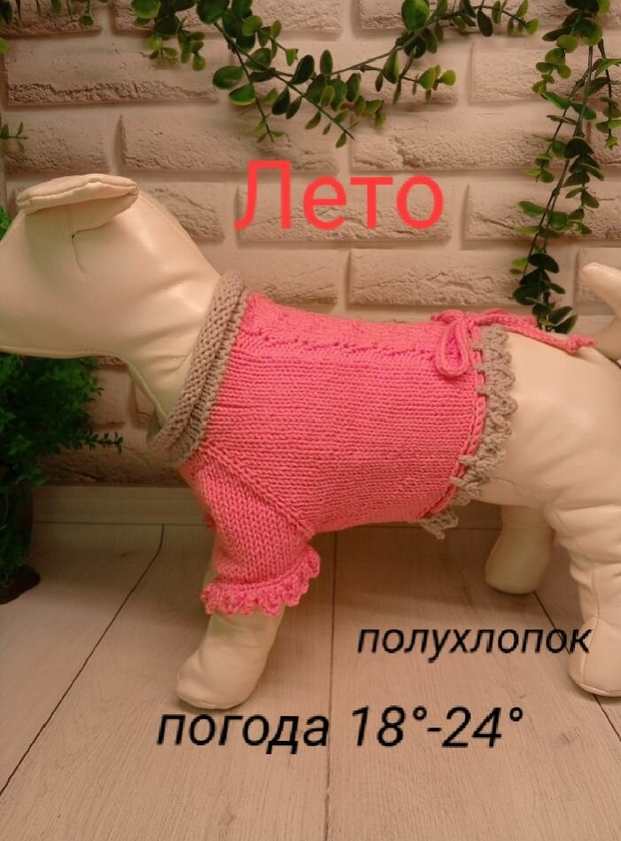 Одежда для животных