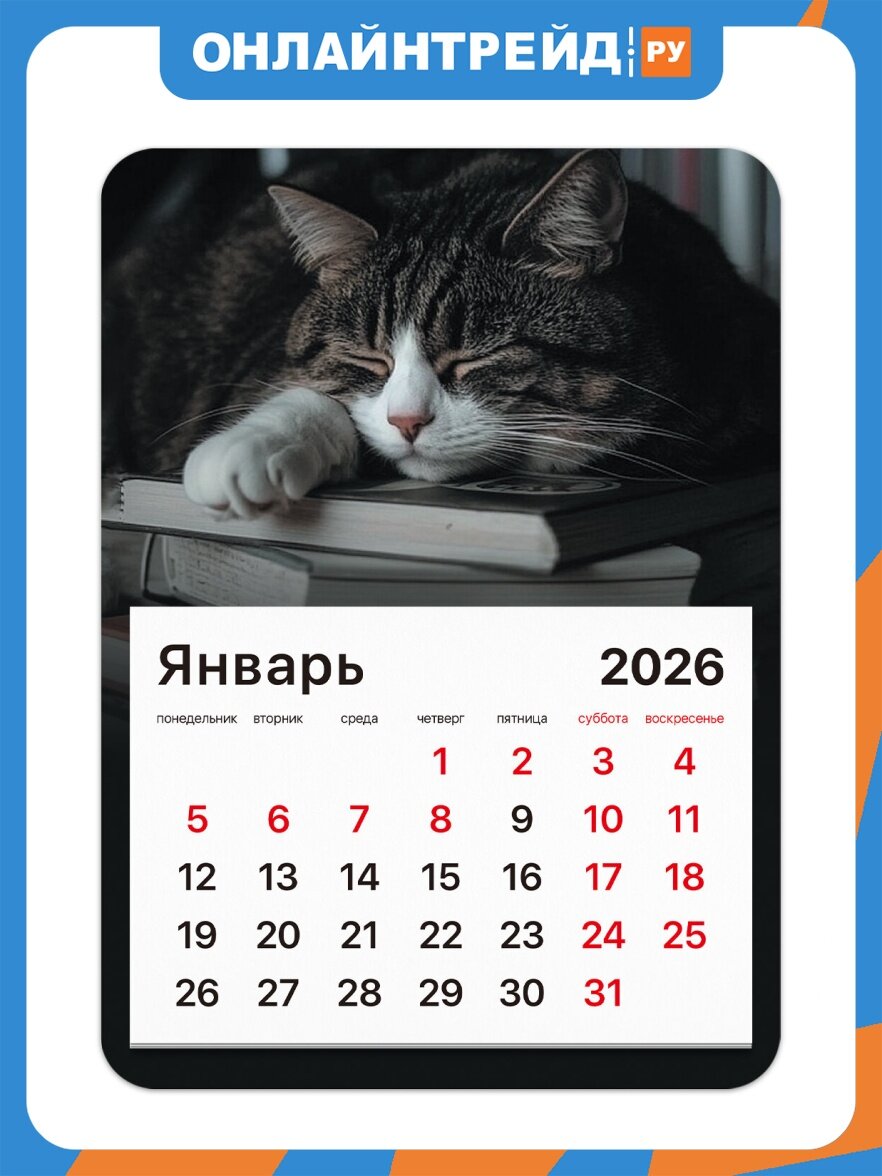 Календарь Brauberg отрывной на магните на 2026 г, 130x180 мм, склейка, "Спящий кот", 117292
